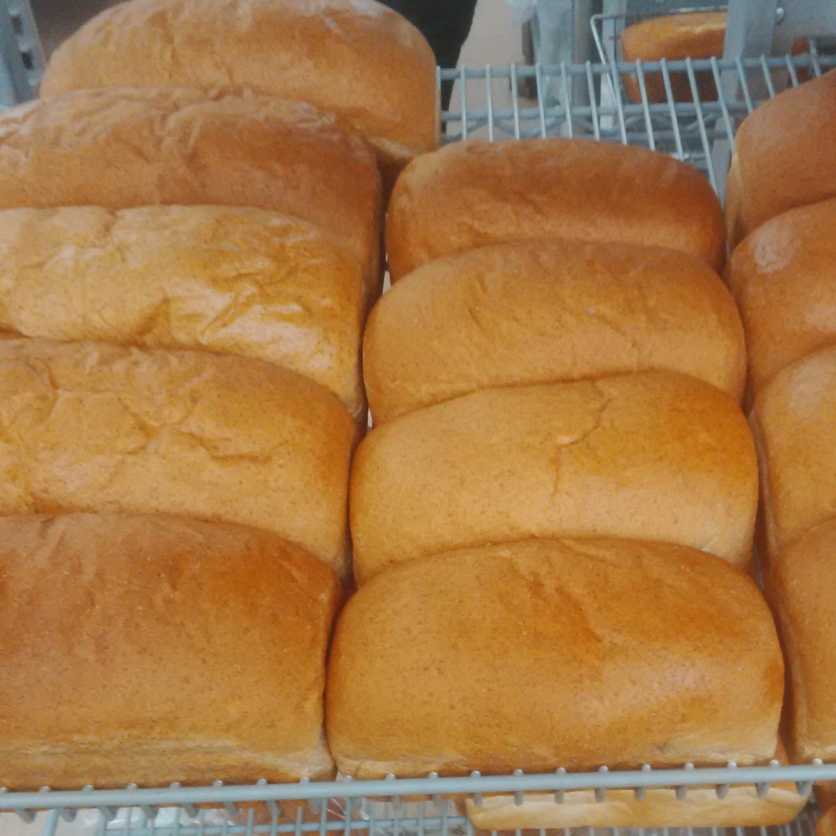 Week 45 » Give Us This Day Our Daily Bread